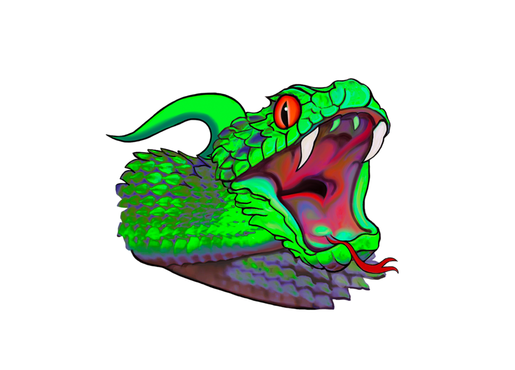 Viper Gear ring & pinion set, Jeep Wrangler, Dana 30, 3.21 ratio, front ...